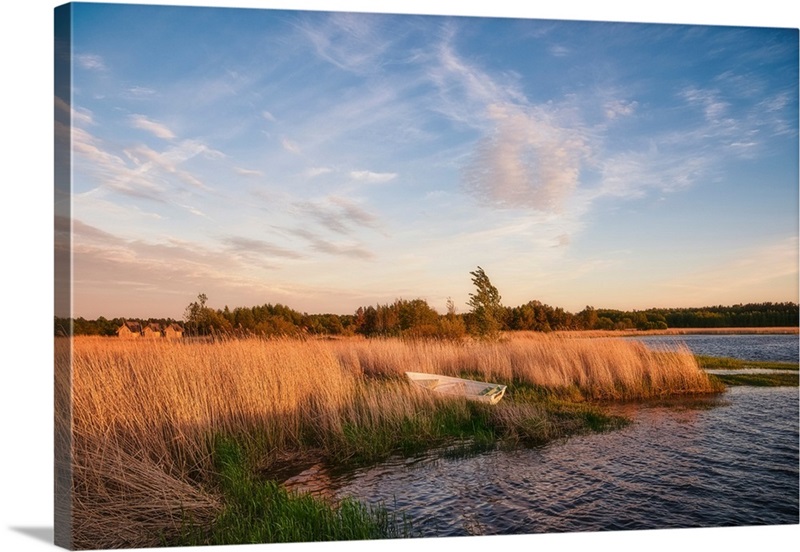 World Peace | Great Big Canvas