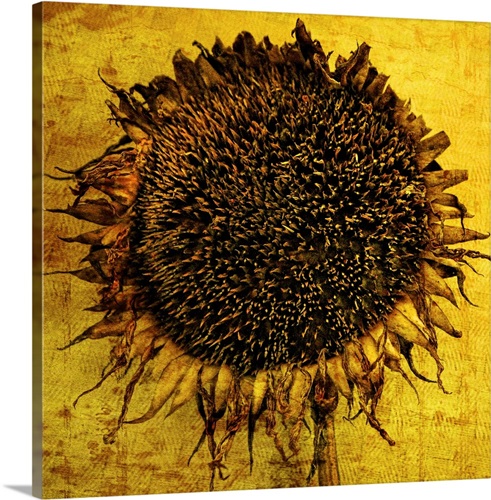 Yellow | Great Big Canvas