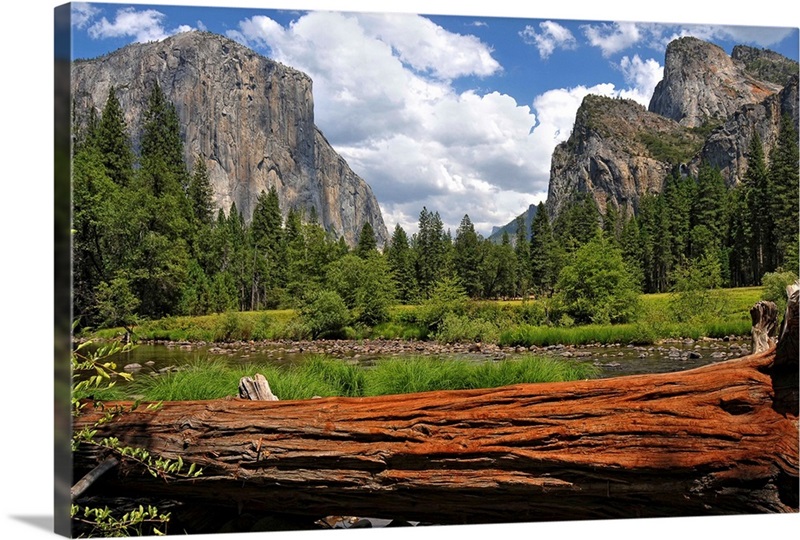 Yosemite Valley | Great Big Canvas