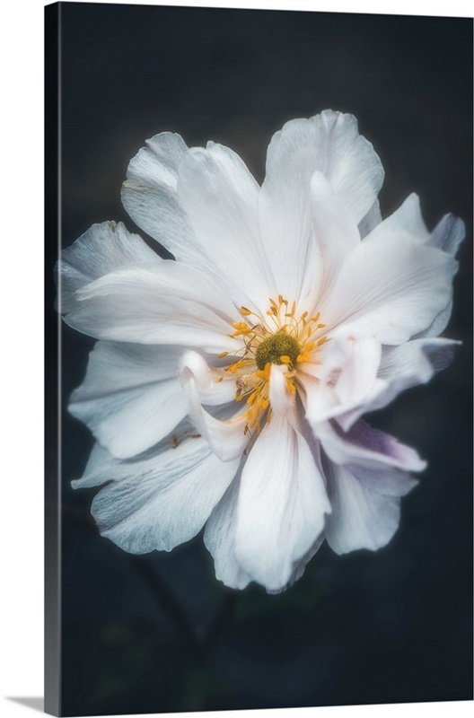 Your Most Beautiful Profile | Great Big Canvas