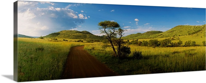 African Bush South Africa | Great Big Canvas