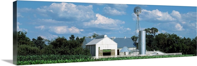 Afternoon farm Lancaster Co PA | Great Big Canvas