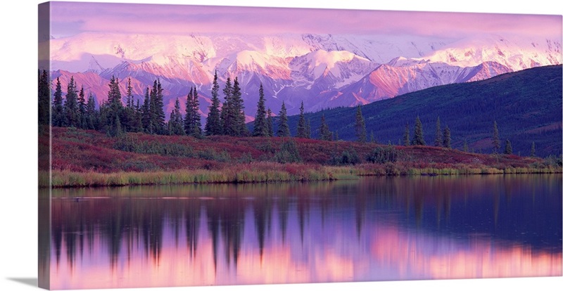 Alaska Range Denali National Park AK | Great Big Canvas