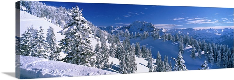 Alpine Scene, Bavaria, Germany | Great Big Canvas