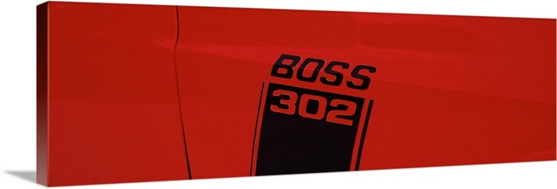 Boss 302 Emblem on a car | Great Big Canvas