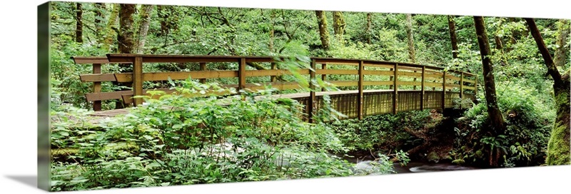 Bridge in a forest Bridal Veil Falls Oregon Columbia Gorge National ...