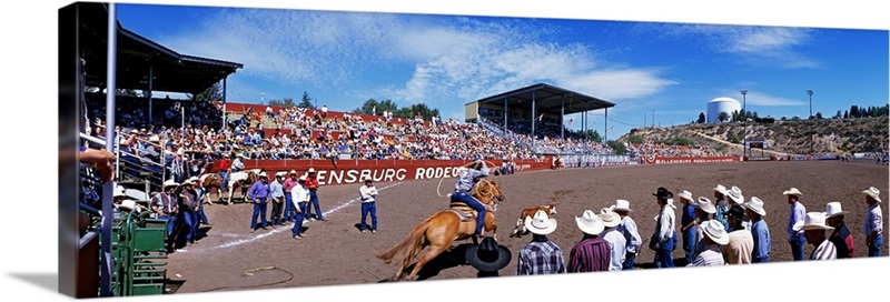 Calf Roping Event at Ellensburg Rodeo | Great Big Canvas