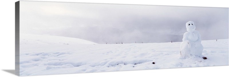 California, Kneeland, Snowman on a polar landscape | Great Big Canvas