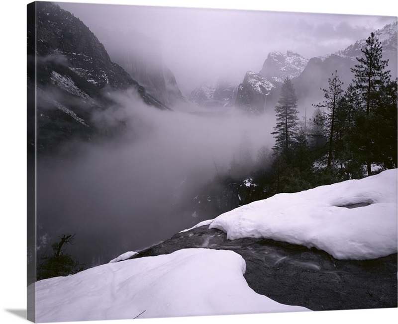 California, Yosemite National Park, Fog over the forest | Great Big Canvas