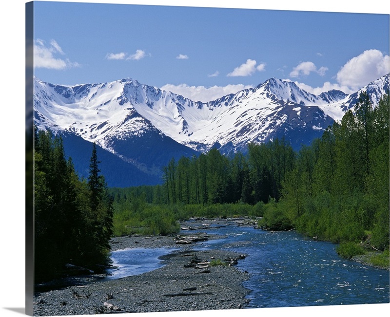 Chugach Mountains, running stream, summer, Alaska | Great Big Canvas