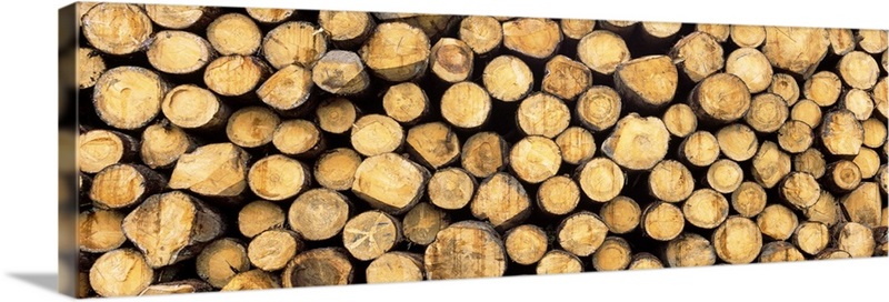 Close-up of a stack of wooden logs, Black Forest, Baden-Wurttemberg ...