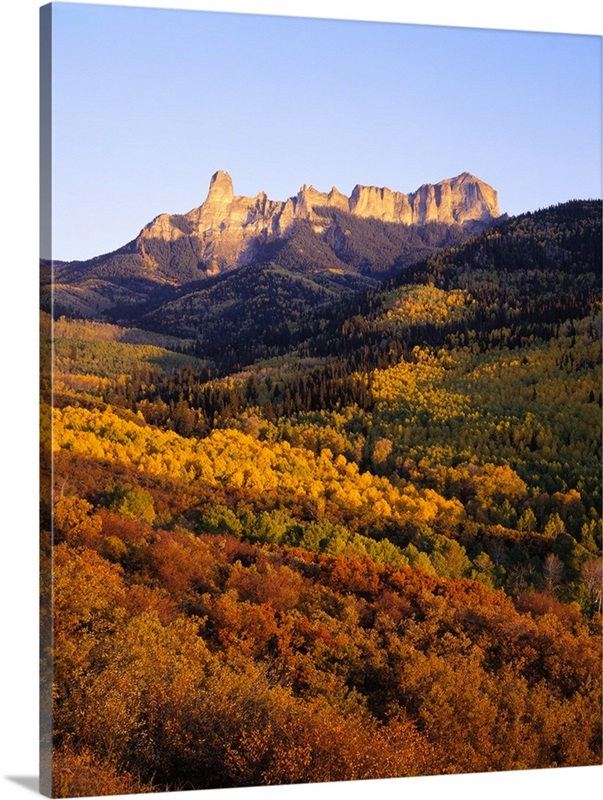 Colorado, Uncompahgre National Forest, Cimarron Ridge, Panoramic view ...