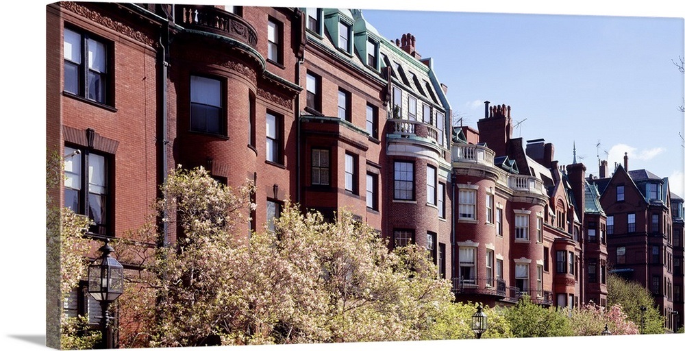 Commonwealth Avenue Boston MA Wall Art, Canvas Prints, Framed Prints ...