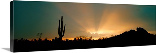 Desert Sun Beams near Phoenix AZ | Great Big Canvas