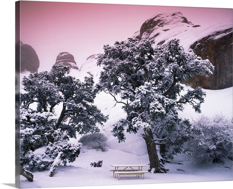 Empty bench under snow covered trees, Arches National Park, Utah ...