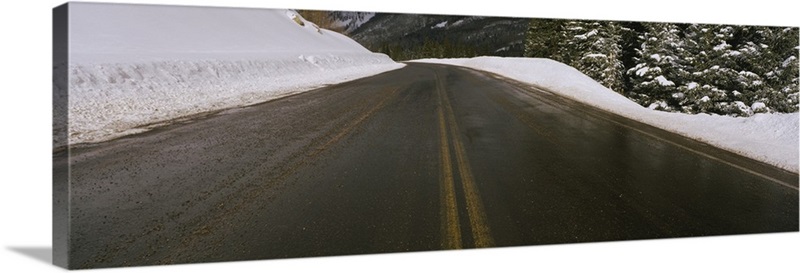 Empty road on a hillside,Telluride, Colorado | Great Big Canvas