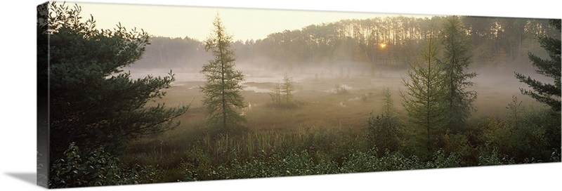 Forest, Northern Highland American Legion State Forest, Vilas County ...