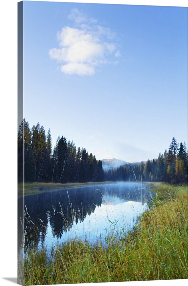 Forest reflection in Stillwater River, Montana Wall Art, Canvas Prints ...
