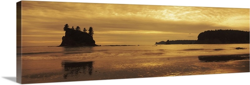 Giants Graveyard Olympic National Park WA | Great Big Canvas