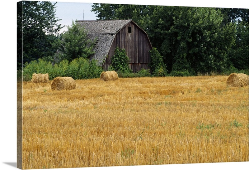 Hay bales in field, weathered barn, Michigan | Great Big Canvas