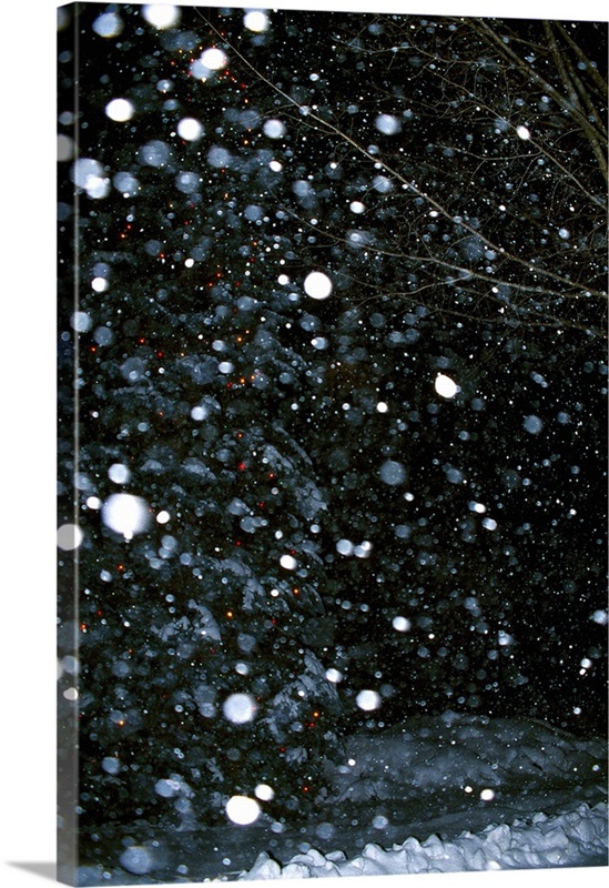 Heavy snow showers, selective focus. Wall Art, Canvas Prints, Framed ...