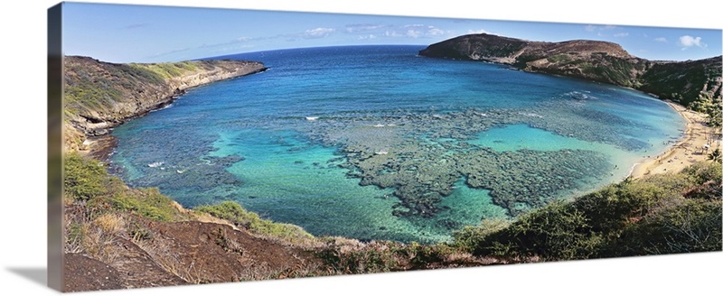 High angle view of a beach, Hanauma Bay, Oahu, Hawaii | Great Big Canvas