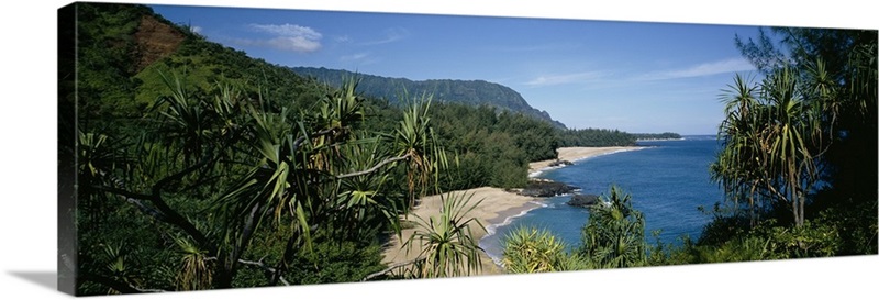 High angle view of a beach, Lumahai Beach, Kauai, Hawaii | Great Big Canvas