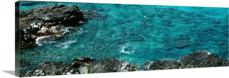 High angle view of a coast, Oahu, Hawaii | Great Big Canvas