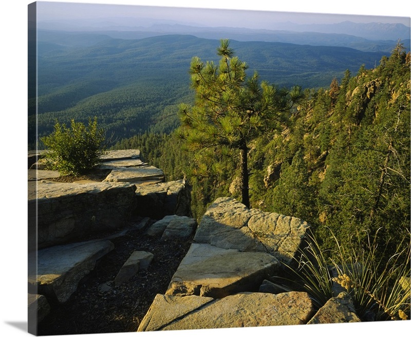 High angle view of a valley, Mogollon Rim, Coconino National Forest ...