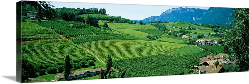 High angle view of fields, Bolzano, Italy | Great Big Canvas