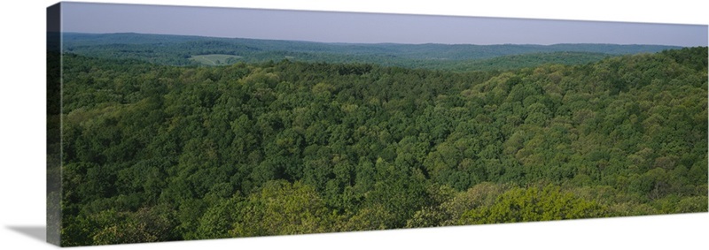 High angle view of trees in a forest, Garden of the Gods Recreation ...