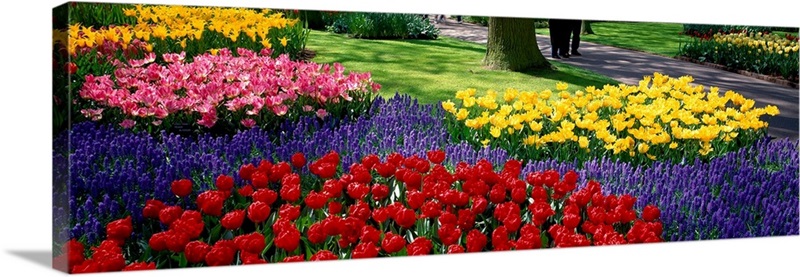Keukenhof Garden Lisse The Netherlands | Great Big Canvas
