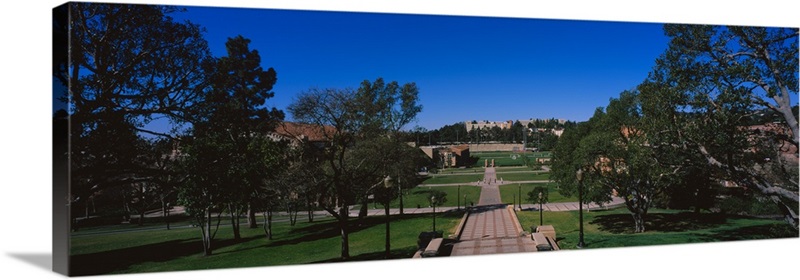 Lawn on both sides of a walkway, Janss Steps, University of California ...