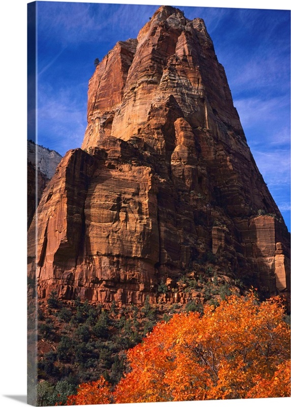 Low angle view of a cliff, Zion National Park, Utah | Great Big Canvas