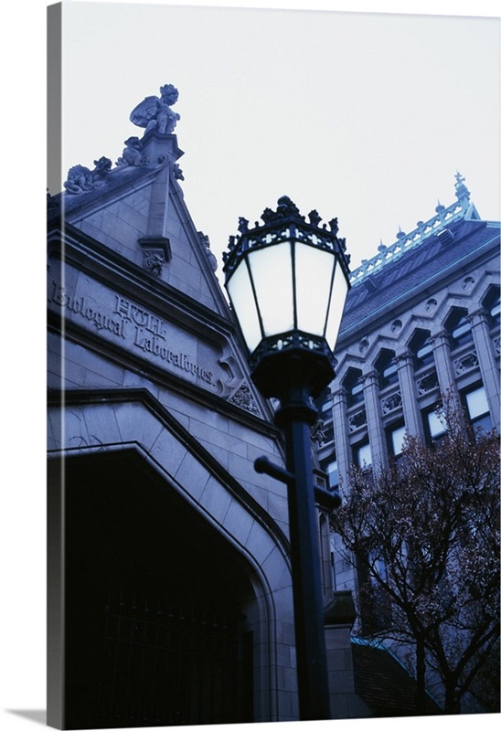 Low angle view of lamppost with buildings in the background, University ...