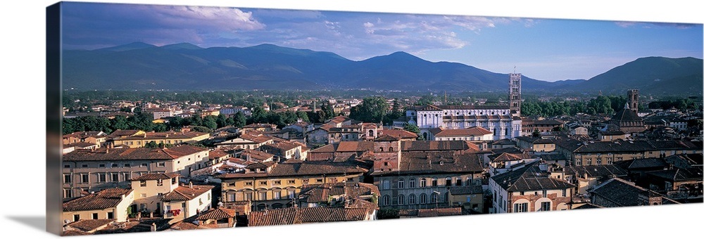 Lucca Italy Wall Art, Canvas Prints, Framed Prints, Wall Peels | Great ...