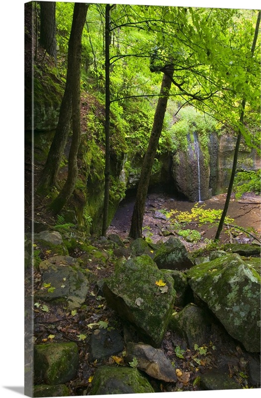 Mossy boulders and lush foliage beside Stephens Falls, Governor Dodge ...