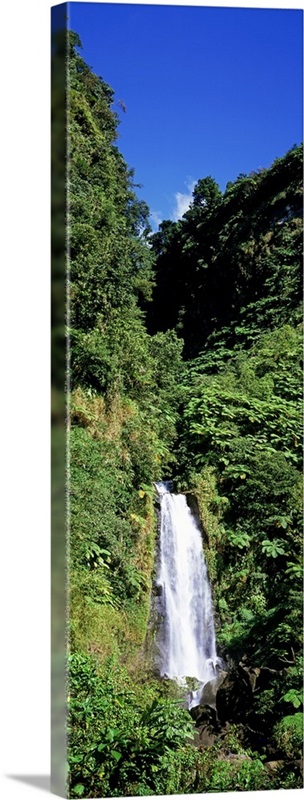 Mother Falls at Trafalgar Falls Dominica | Great Big Canvas