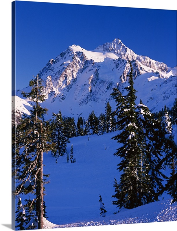 Mountain covered with snow, Mt Shuksan, North Cascades National Park ...