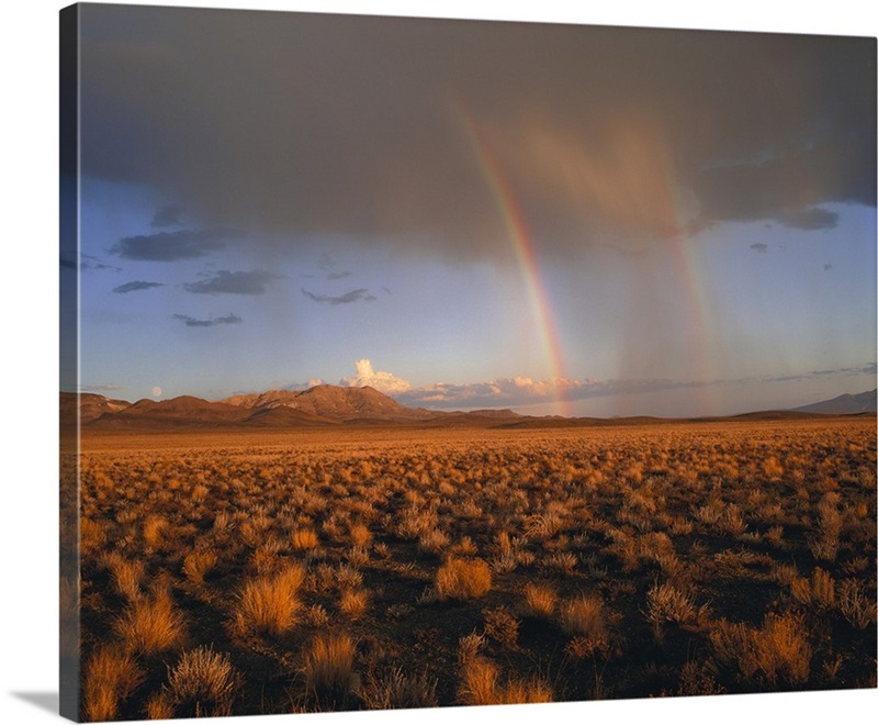 Nevada, Nevada Desert, Rainbows over the desert | Great Big Canvas