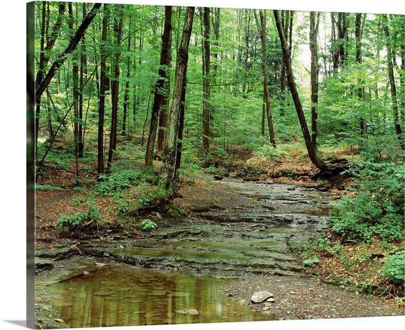 New York State, Erie County, Emery Park, Stream of water flowing ...