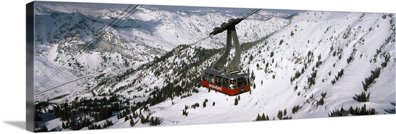 Overhead cable car in a ski resort, Snowbird Ski Resort, Utah | Great ...