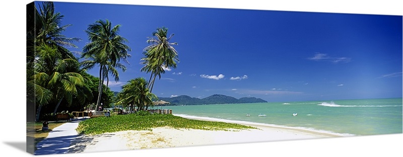 Palm trees on the beach, Penang State, Malaysia | Great Big Canvas