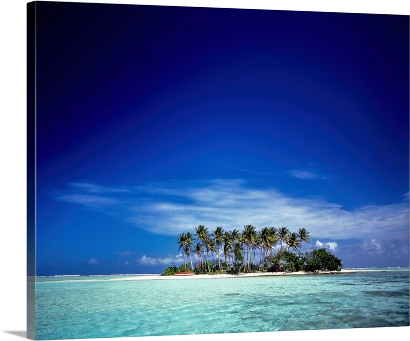 Palm Trees, Truk Island, Chuuk Lagoon, Micronesia | Great Big Canvas