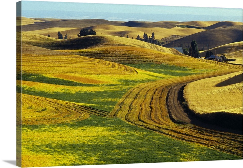 Patterns in farm fields, rolling hills of Palouse region, Washington ...