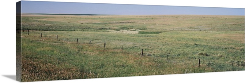 Prairie grass on a landscape, Kearney County, Nebraska | Great Big Canvas