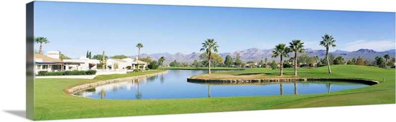 Rio Verde Golf Course Rio Verde AZ | Great Big Canvas