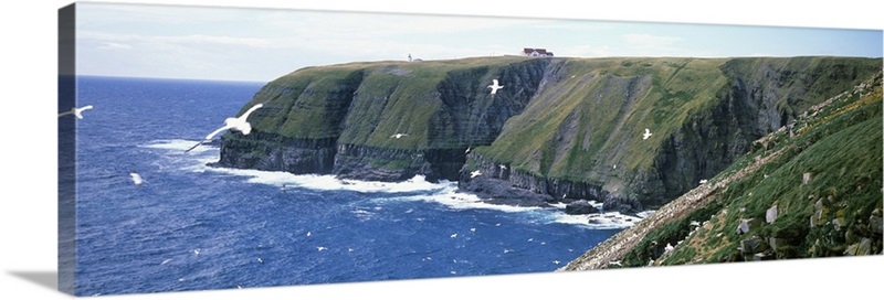 Rock formations on the coast, Cape St. Mary's Ecological Reserve ...