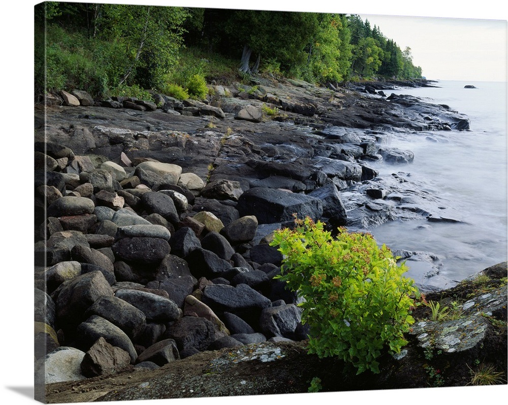 Rocks and trees along Lake Superior shoreline, Cascade River State Park ...