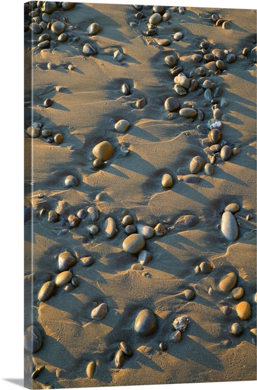 Rocks embedded in sand on Ruby Beach, close up, Olympic National Park ...